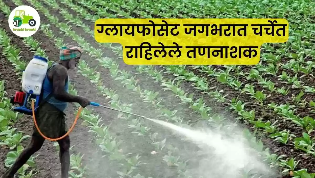 Glyphosate : ग्लायफोसेट जगभरात चर्चेत राहिलेले तणनाशक