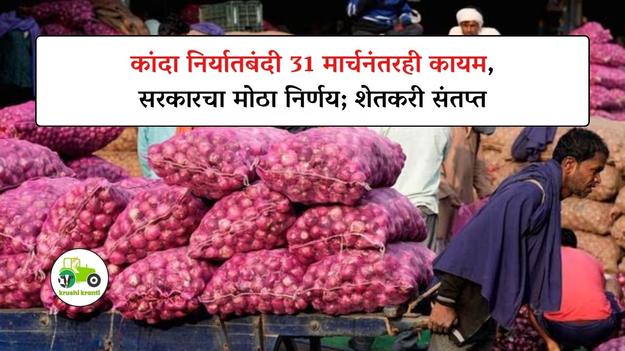 Onion Export Ban : कांदा निर्यातबंदी 31 मार्चनंतरही कायम, सरकारचा मोठा निर्णय
