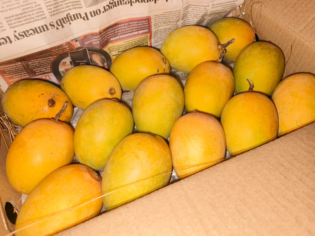 देवगड हापूस आंबा विकणे आहे