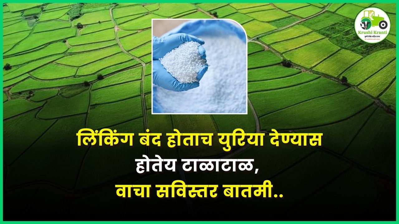 लिंकिंग बंद होताच युरिया देण्यास होतेय टाळाटाळ, वाचा सविस्तर बातमी.. - Krushi Kranti