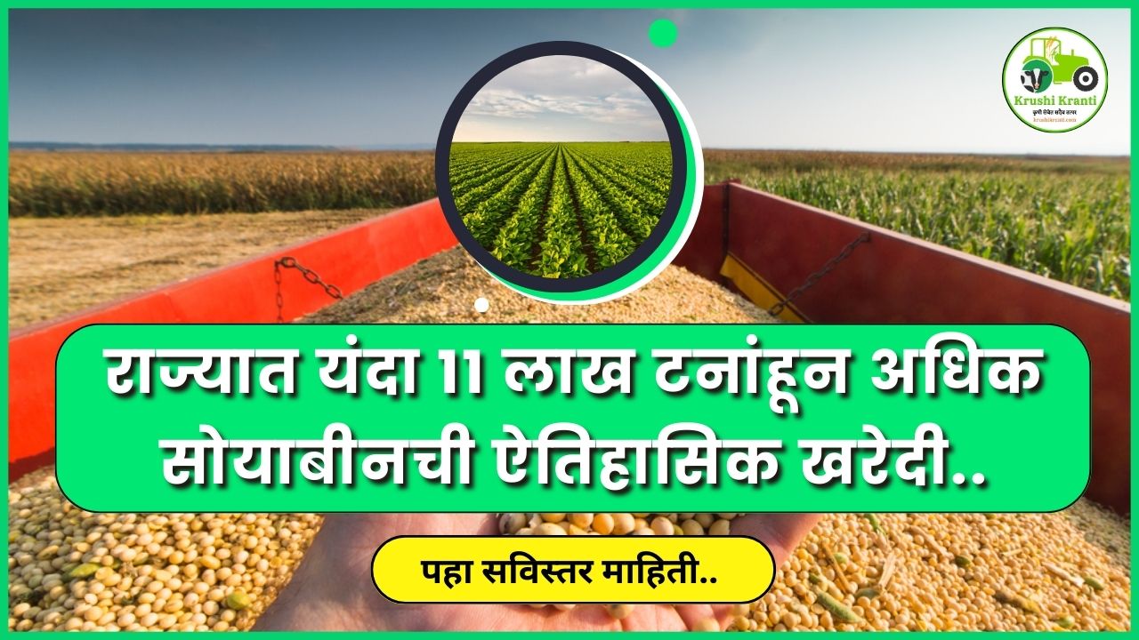 राज्यात यंदा ११ लाख टनांहून अधिक सोयाबीनची ऐतिहासिक खरेदी.. - Krushi Kranti